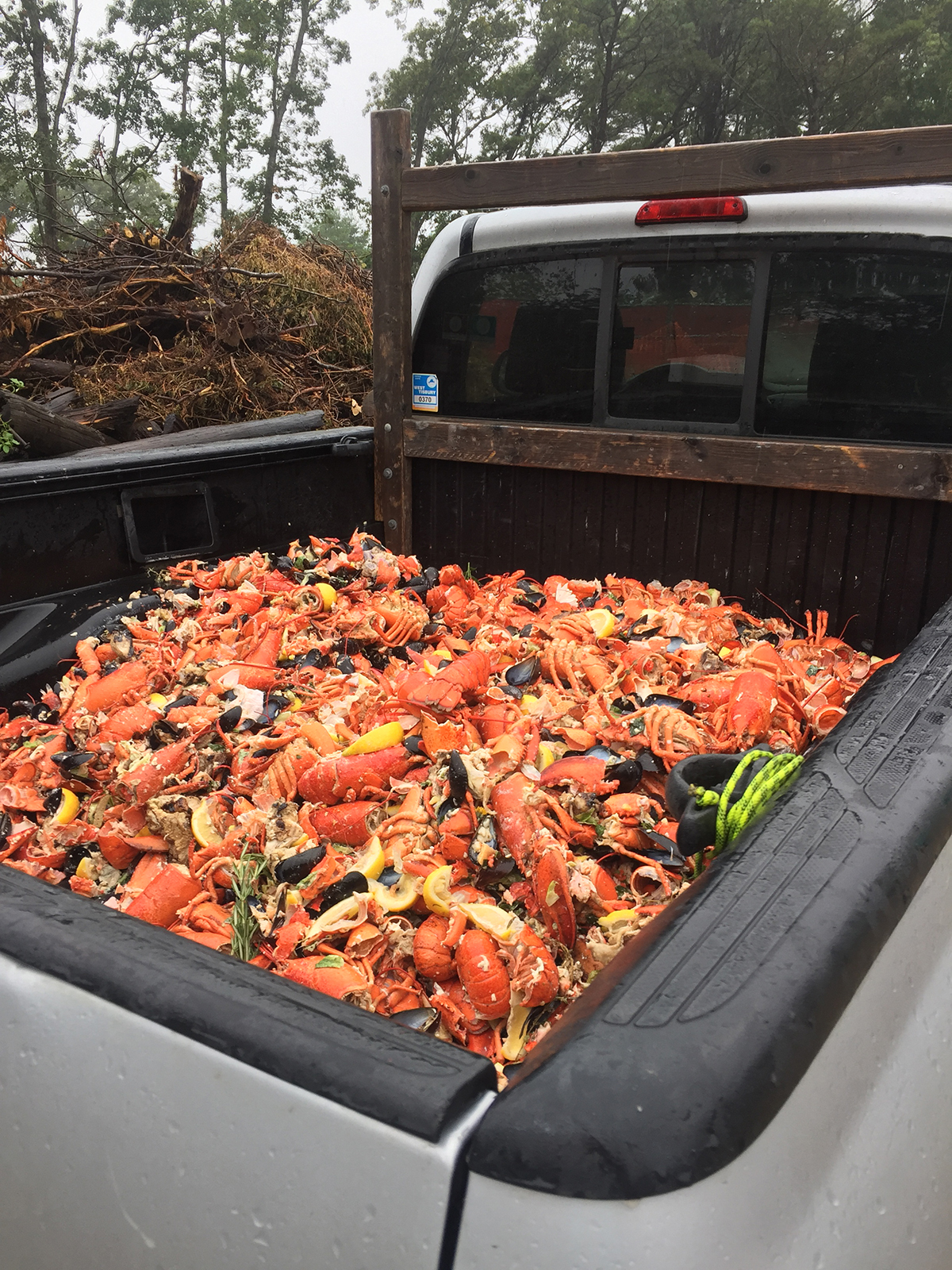 A Platinum Summer | Sailors for the Sea