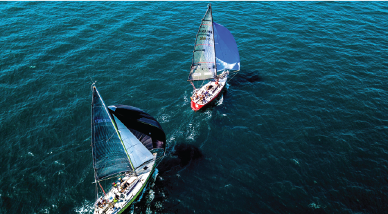 What are you doing for World Oceans Day? | Sailors for the Sea