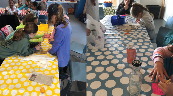 Set Sail During School | Sailors for the Sea