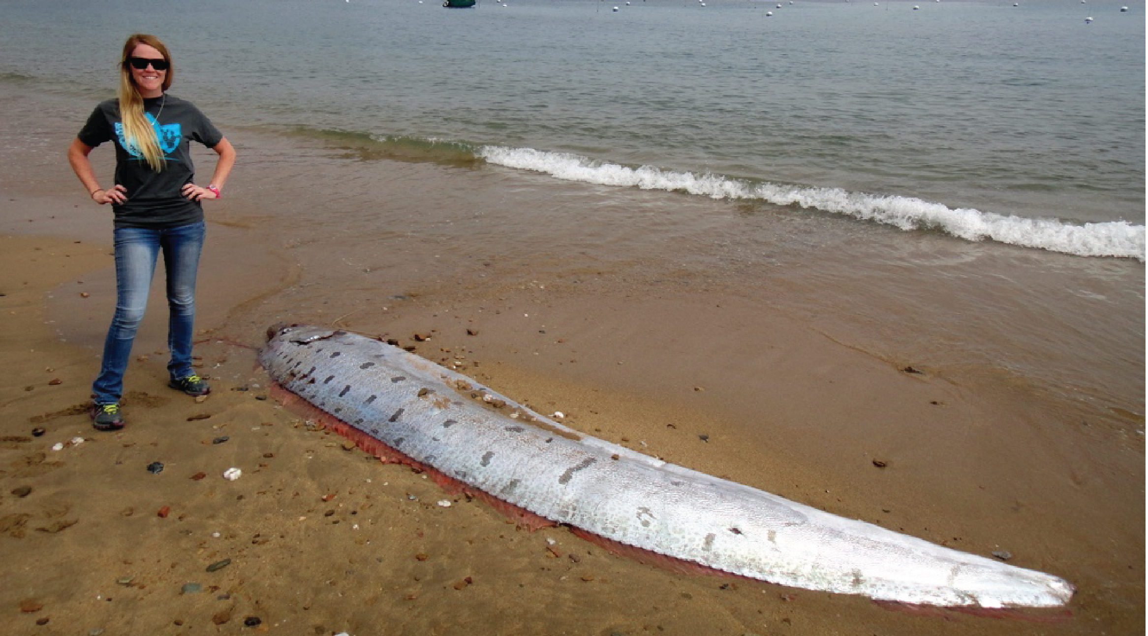 World Animal Day! | Sailors for the Sea