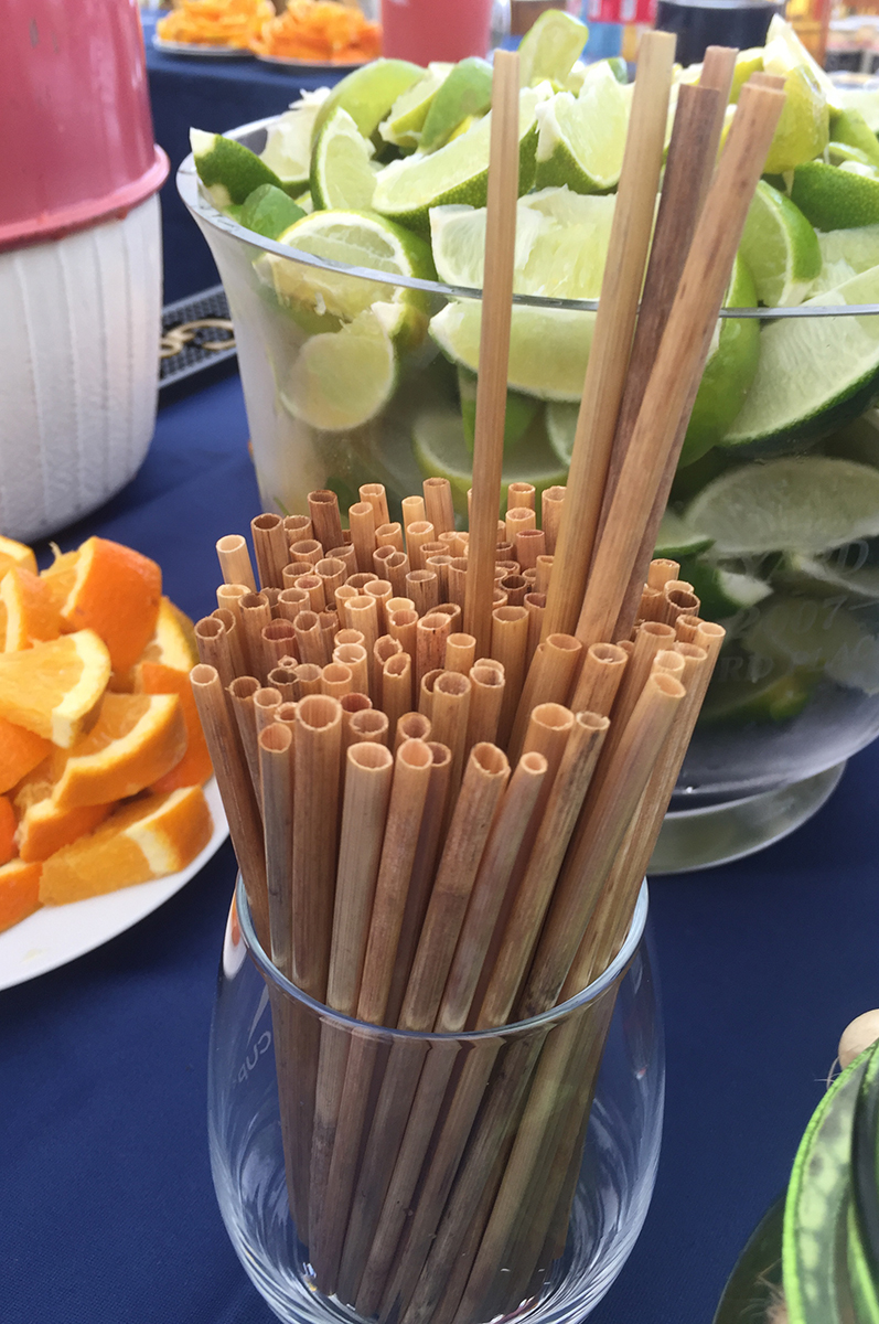 A Platinum Summer | Sailors for the Sea