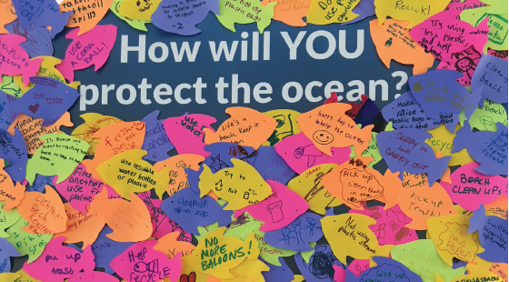 Connected by the Ocean | Sailors for the Sea